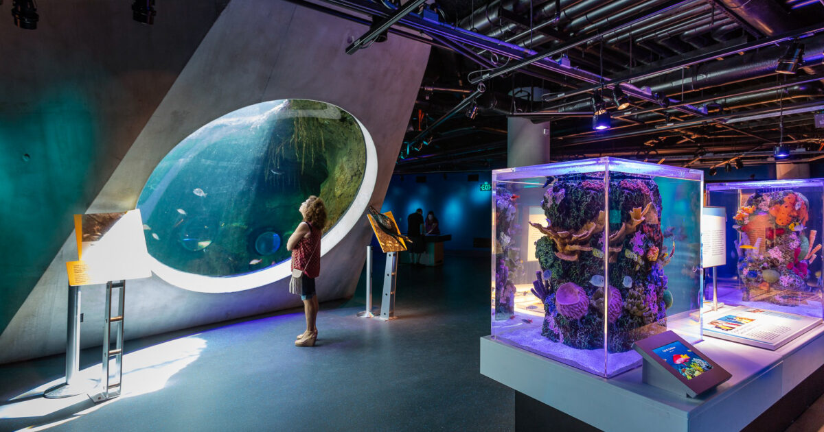 The Living Core | Roto Design & Build Projects