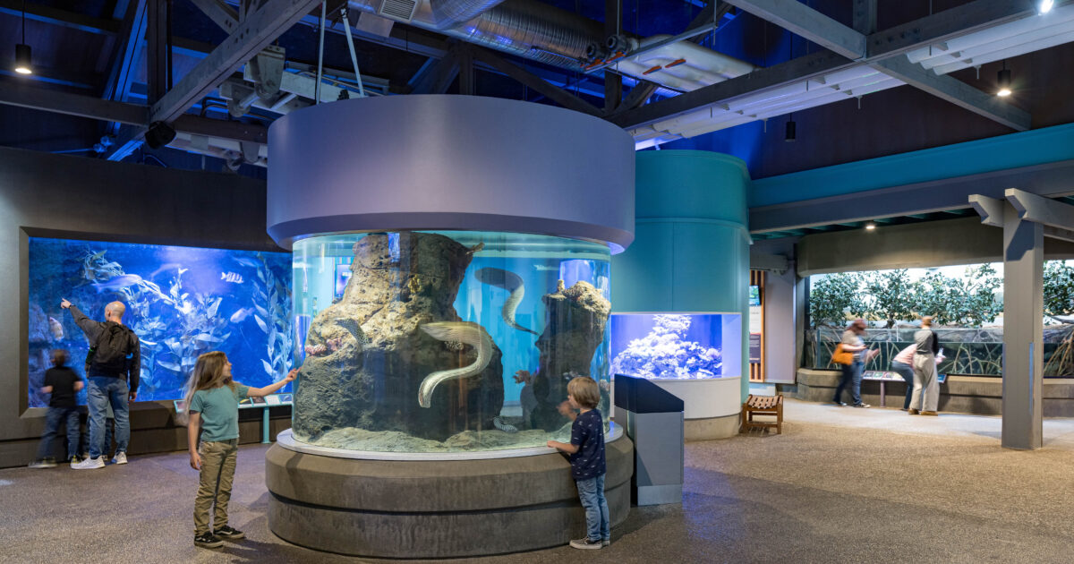 Sandy & Rocky Coast Galleries | Roto Design & Build Projects